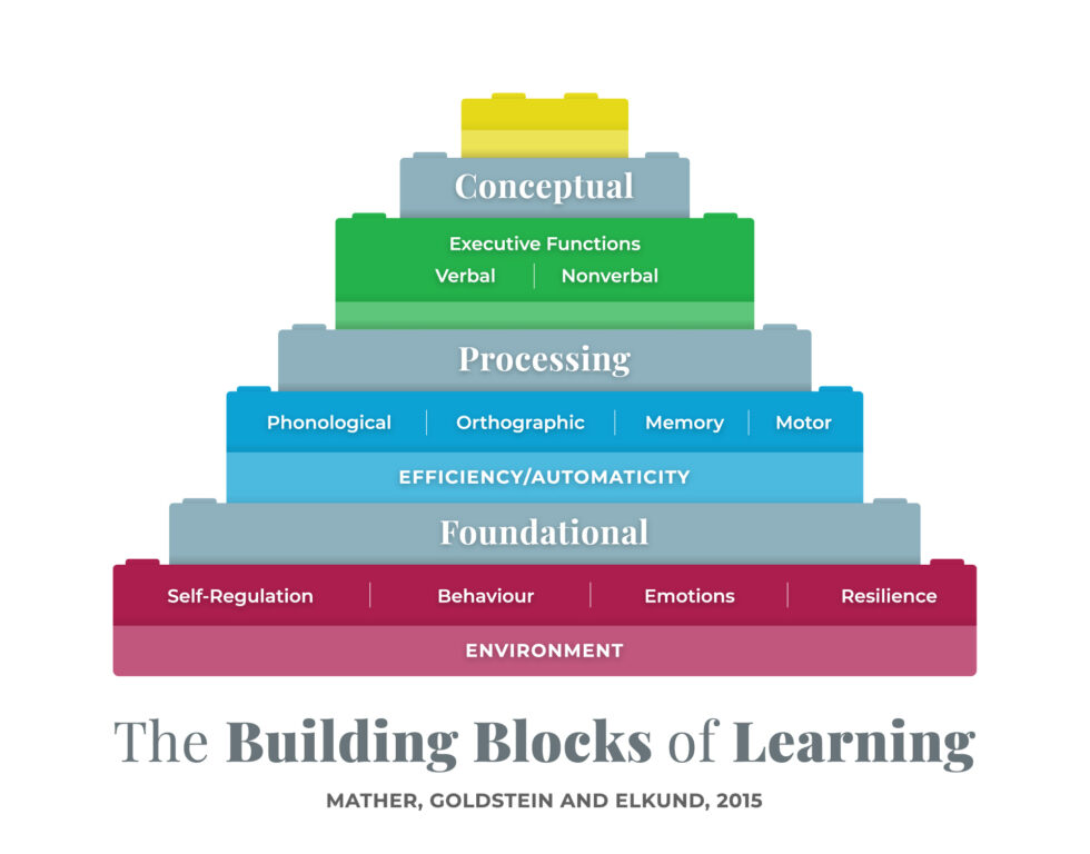 Types of Learning Disabilities - NILD Canada